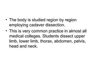 Branches of anatomy | PPT | Reproductive Health | Diseases and Conditions