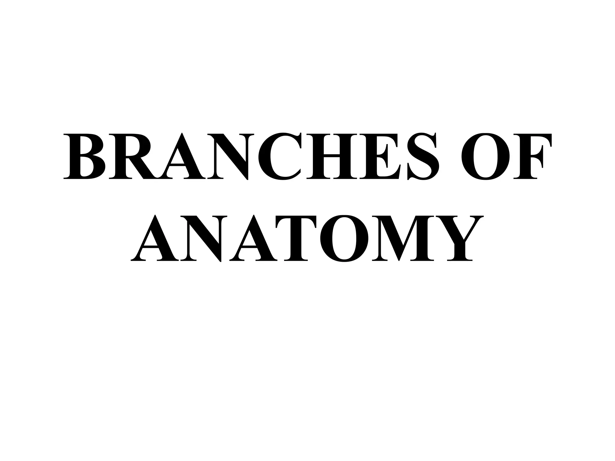 Anatomy position and All Branches of anatomyBRANCHES OF ANATOMY.pptx