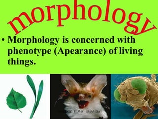 Branches of biology | PPT