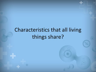 ZOO1-Branches of biology | PPT | Biological Sciences | Science