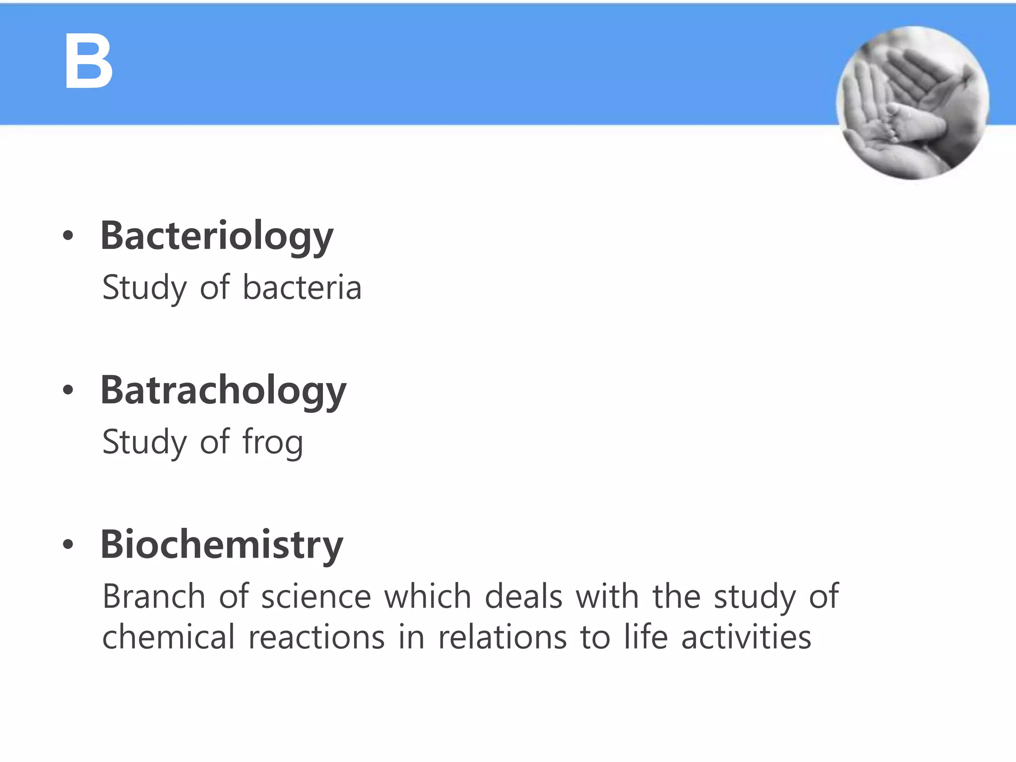 Branches of Biology | PPTX