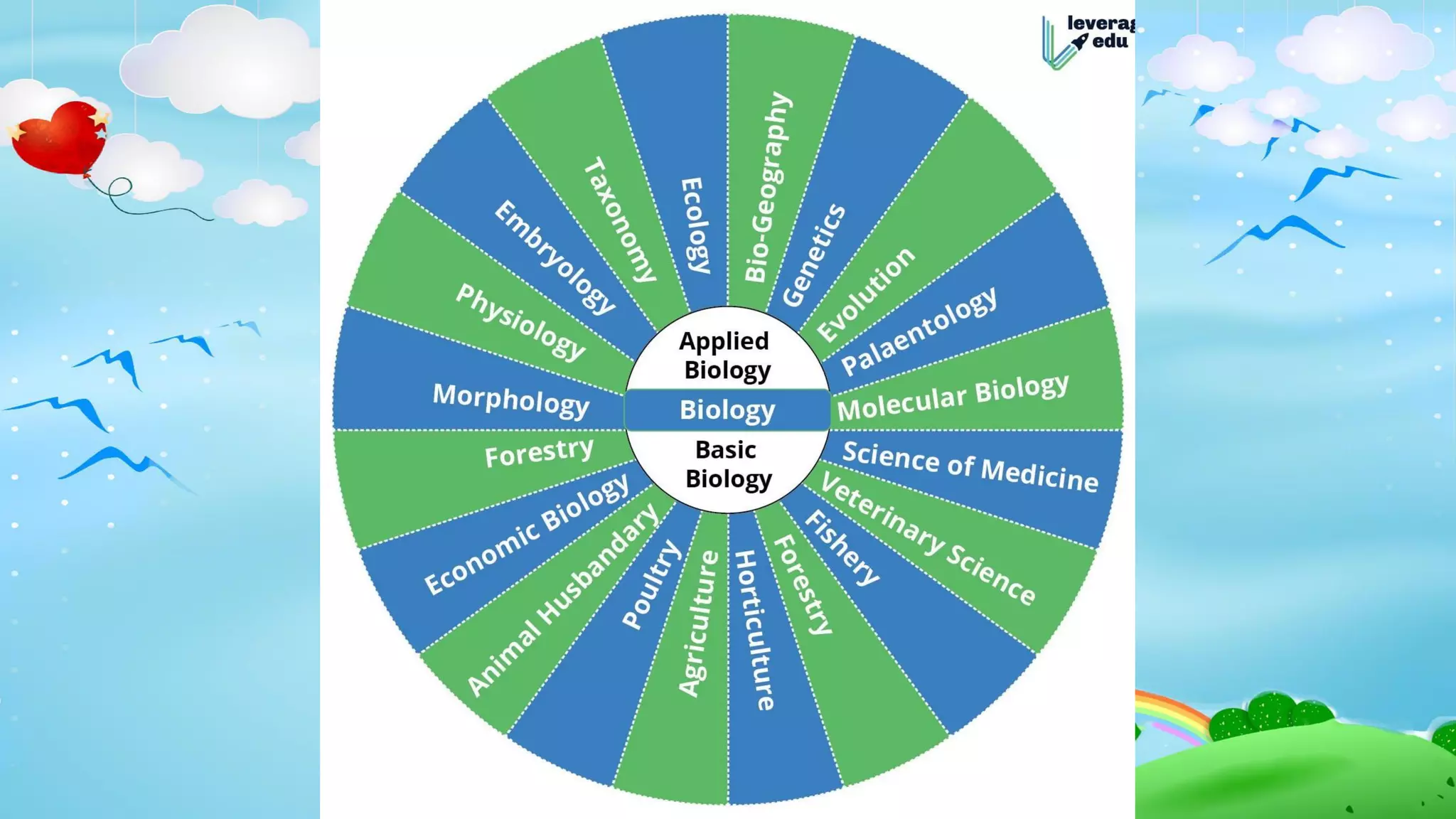 Branches of Biology.pdf