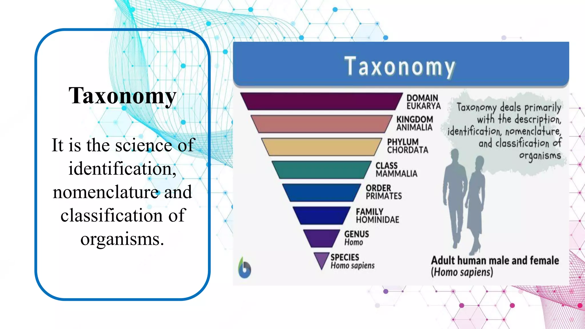 Branches of Biology.pdf