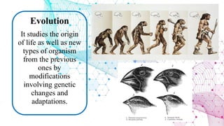 Branches of Biology.pdf