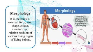 Branches of Biology.pdf