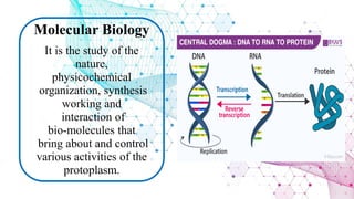 Branches of Biology.pdf