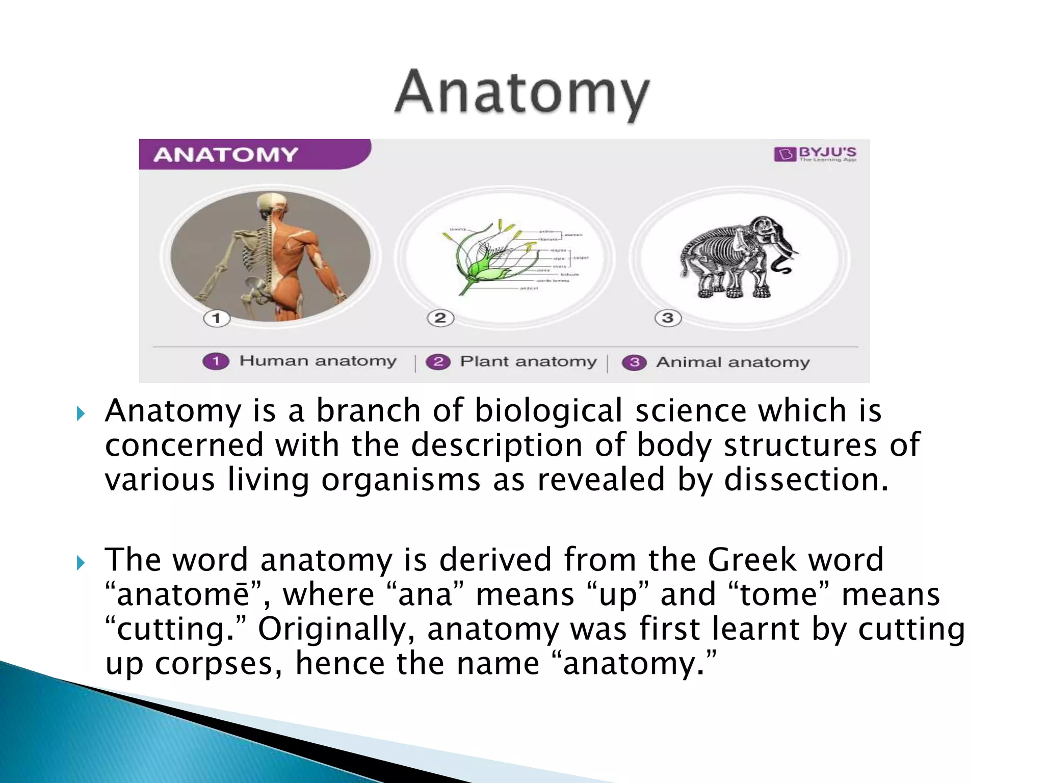Branches of Biology.pptx