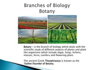 Branches of Biology.pptx