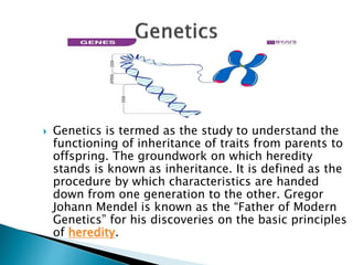 Branches of Biology.pptx
