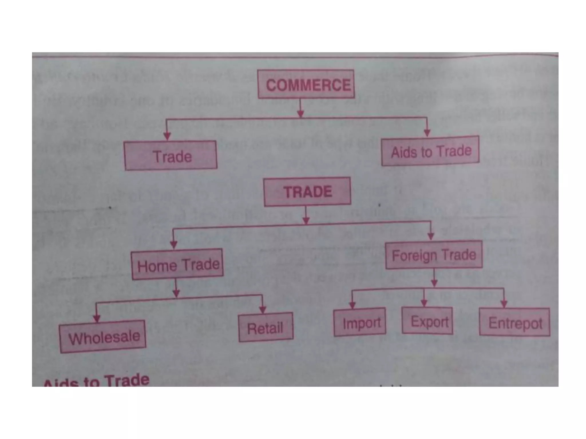 Branches of commerce | PPTX