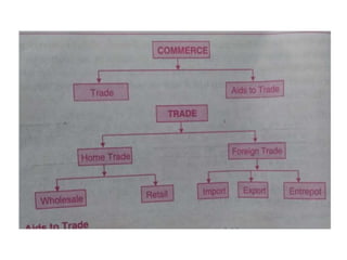 Branches of commerce | PPTX