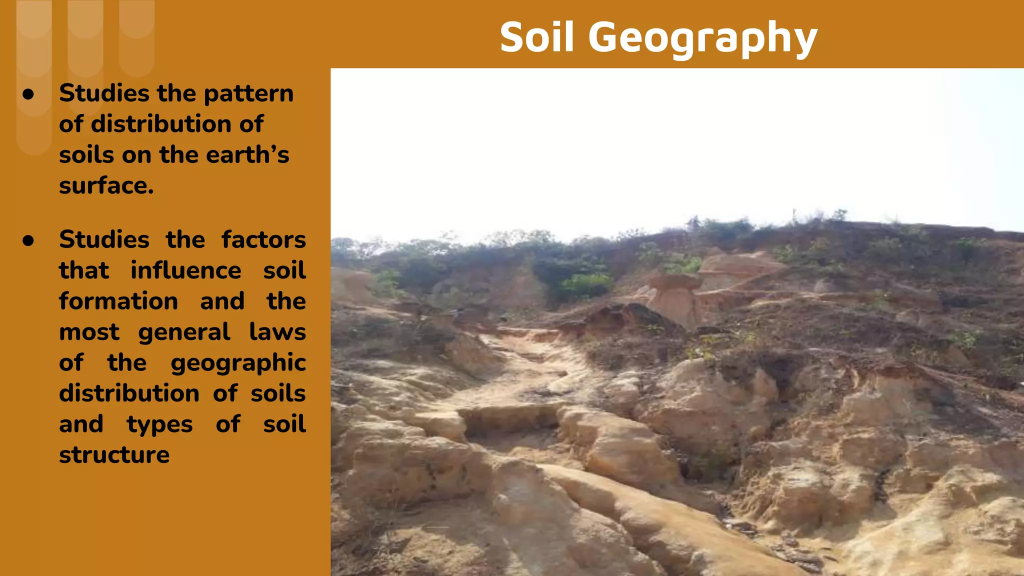 Branches of Geography | PPTX