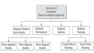 Branches of Geography | PPTX
