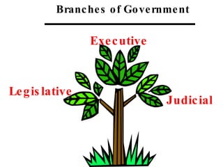 Branches of government | PPT | Law