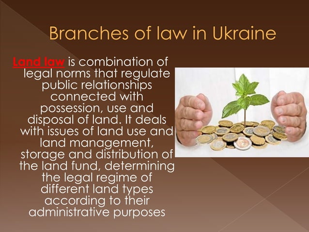 Branches of law and legal institutions | PPT