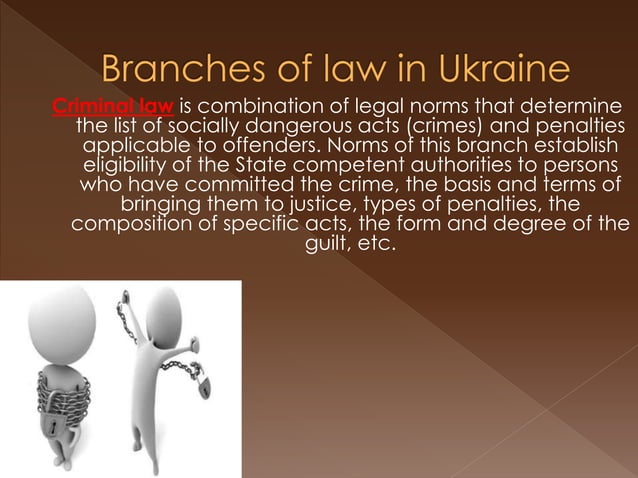 Branches of law and legal institutions | PPT