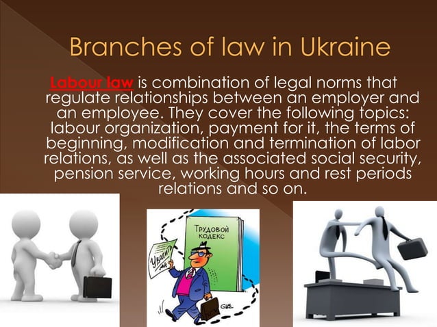 Branches of law and legal institutions | PPT