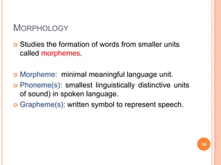 Branches of linguistics | PPTX