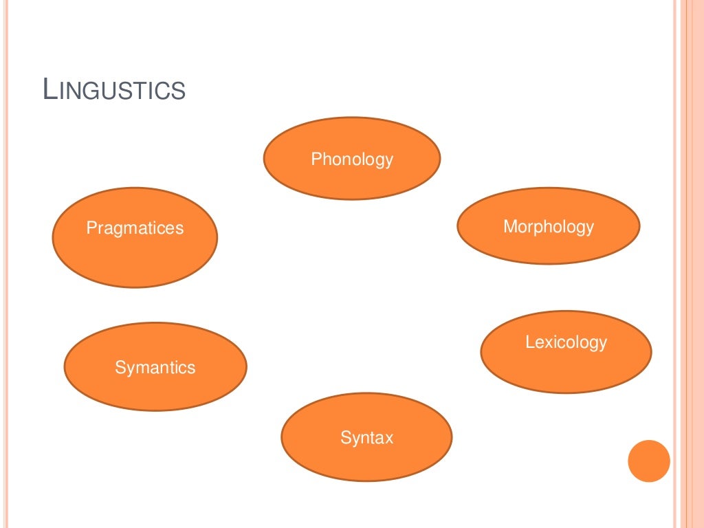 Branches of linguistics