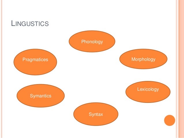 Branches of linguistics