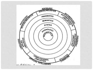 Branches of linguistics | PPTX