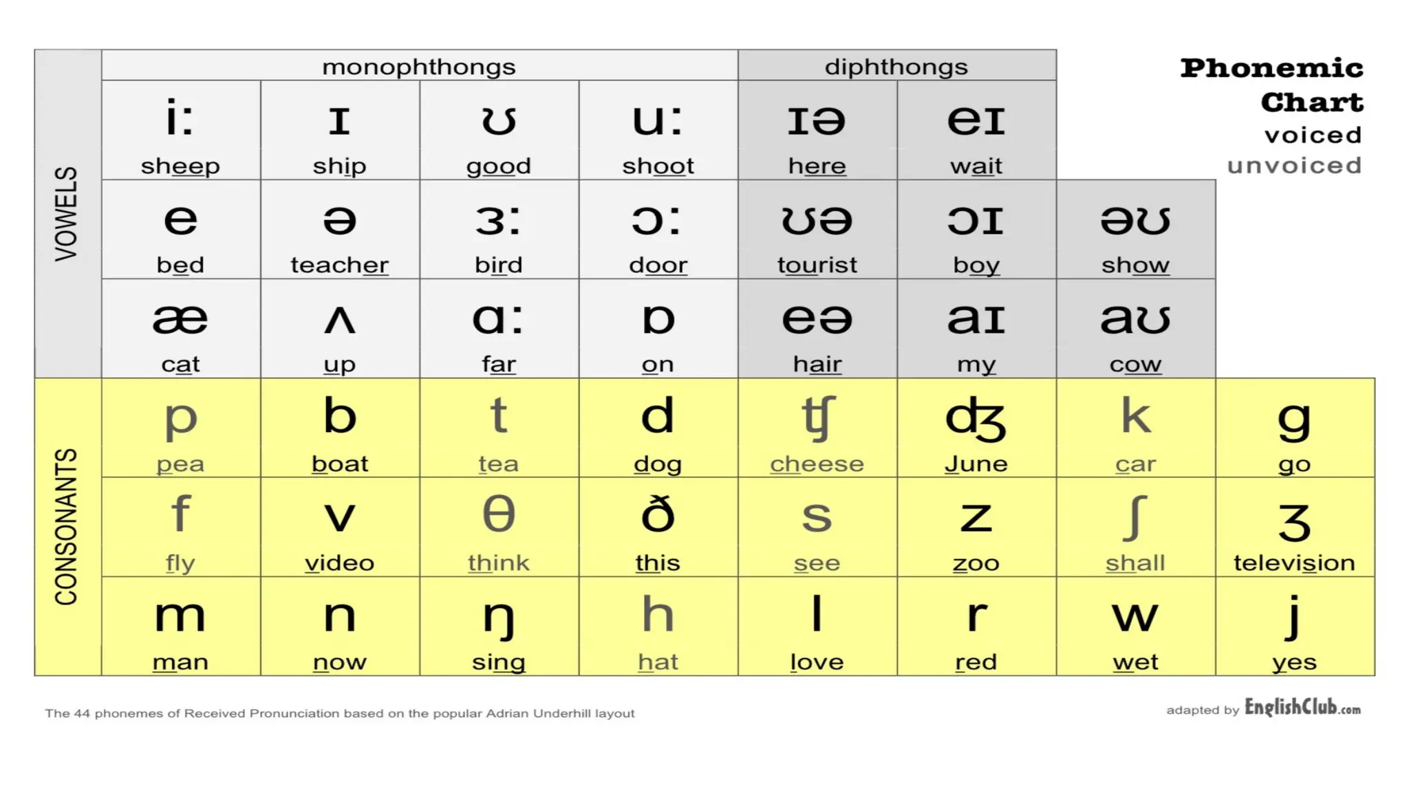 BRANCHES OF LINGUISTICS, Linguistics, Phonetics | PPT