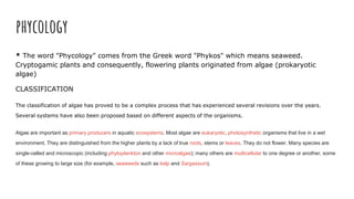 branches of microbilogy.pptx
