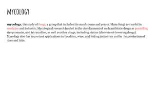 branches of microbilogy.pptx