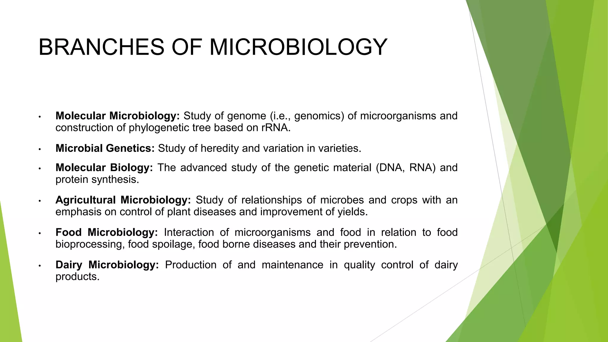 BRANCHES OF MICROBIOLOGY.pptx