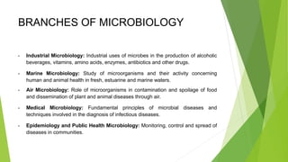 BRANCHES OF MICROBIOLOGY.pptx