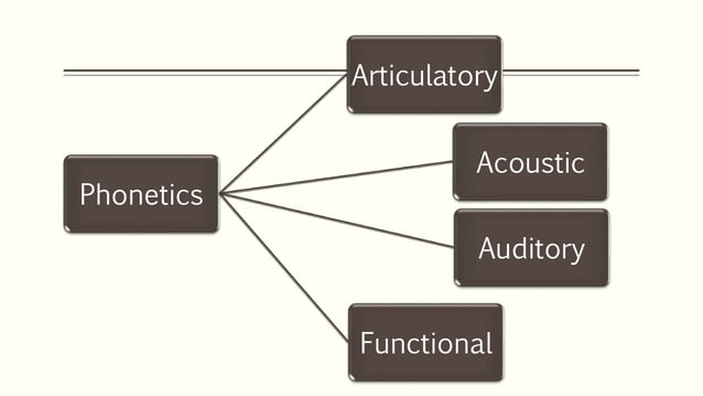 Branches of phonetics | PPTX