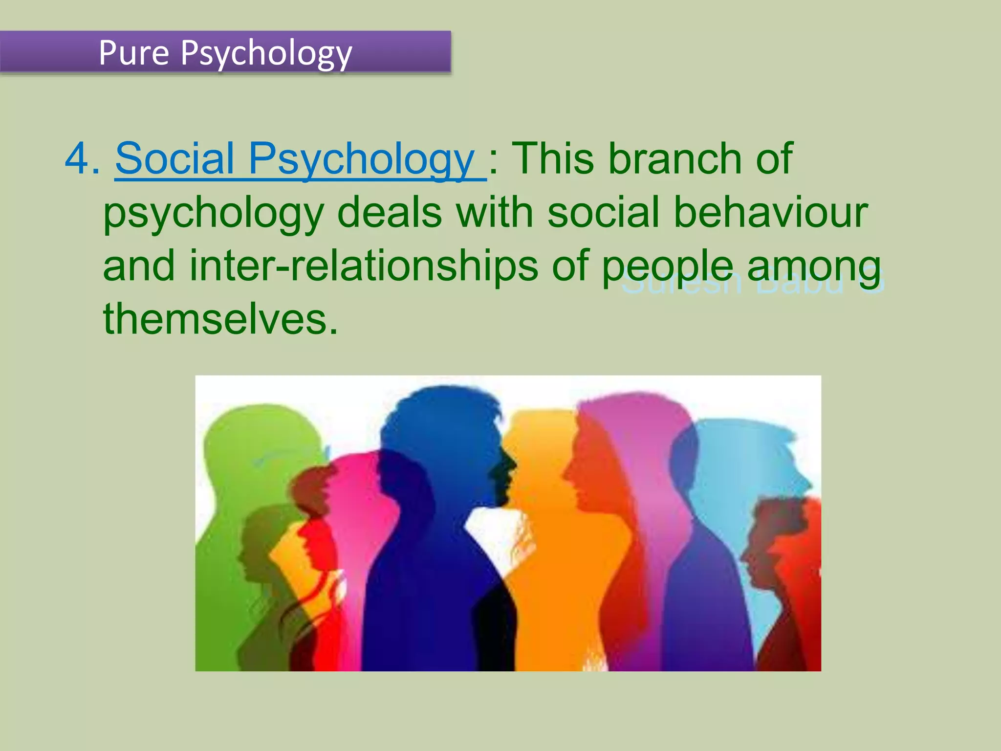 Branches of Psychology | PPTX