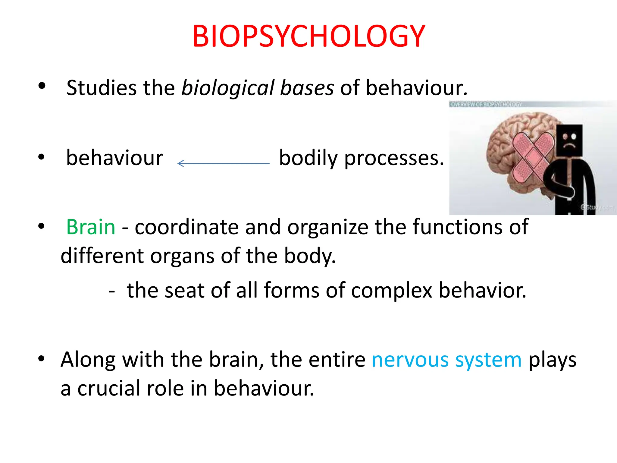 BRANCHES OF PSYCHOLOGY power point presentation | PPTX