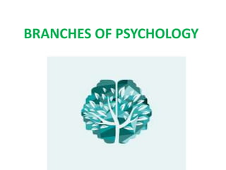 BRANCHES OF PSYCHOLOGY power point presentation | PPTX