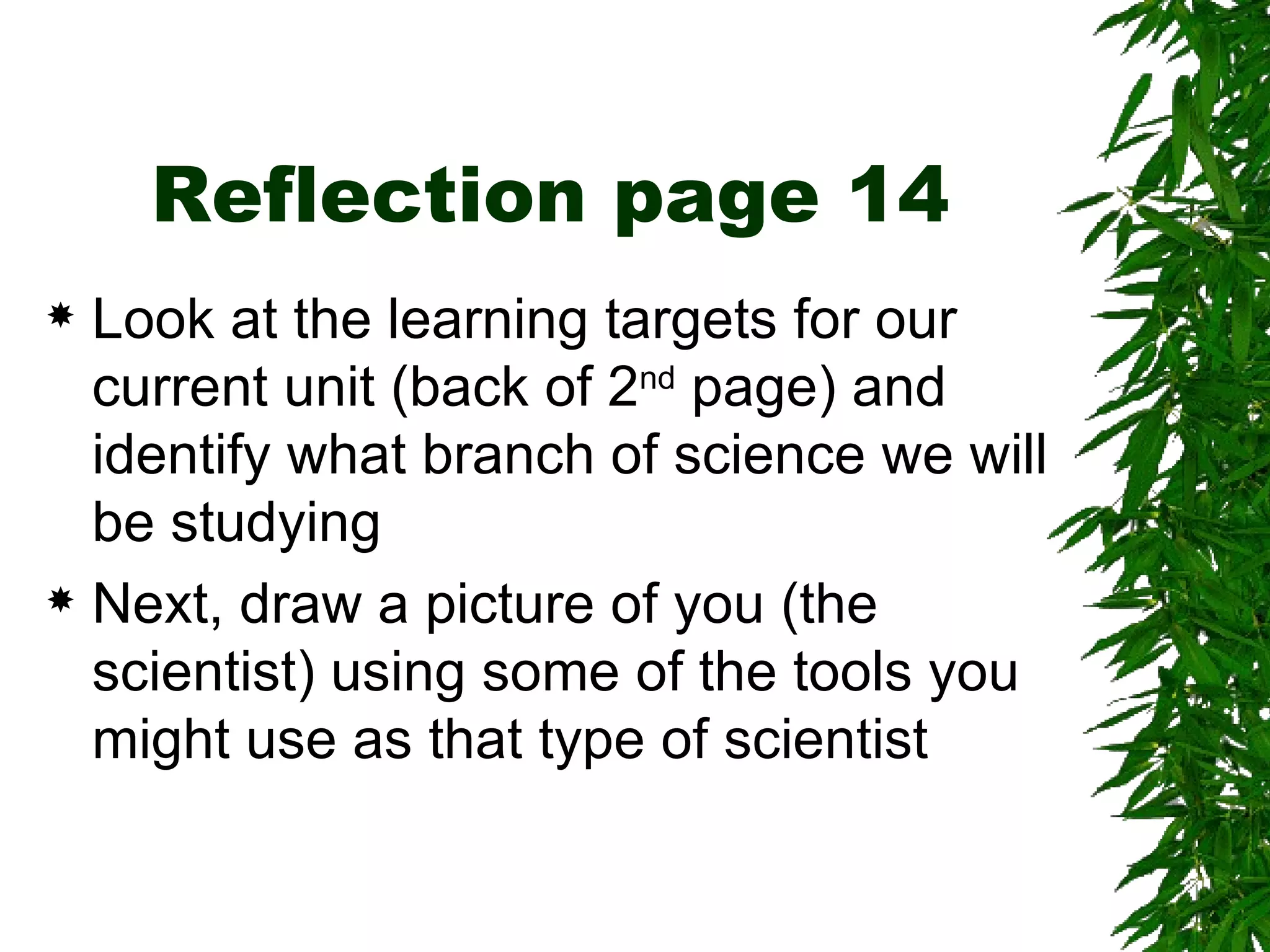 Branches Of Science | PPT