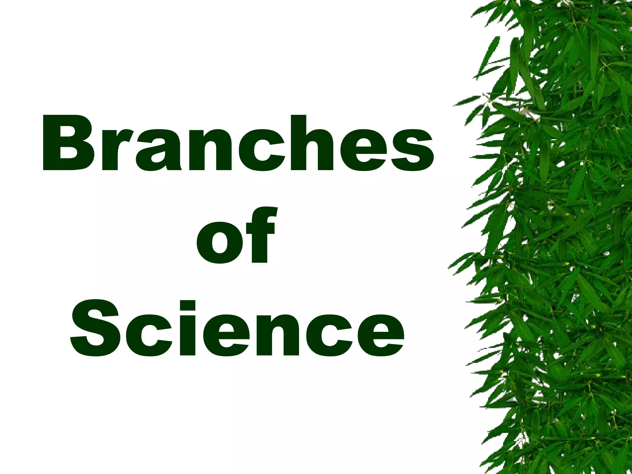 Branches Of Science | PPT