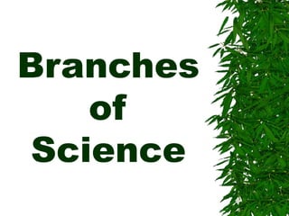 Branches Of Science | PPT
