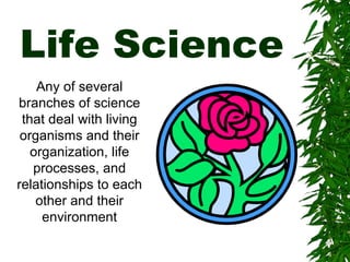 Branches Of Science | PPT