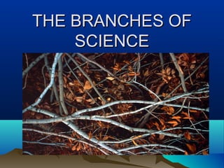 Branches of science | PPT