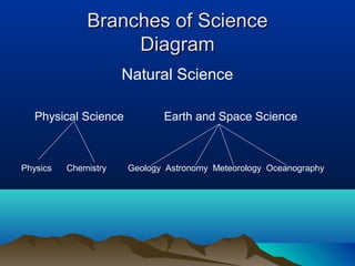 Branches of science | PPT