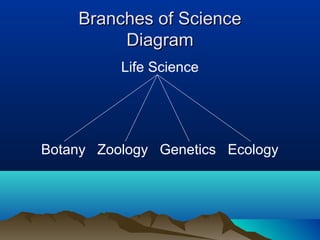 Branches of science | PPT