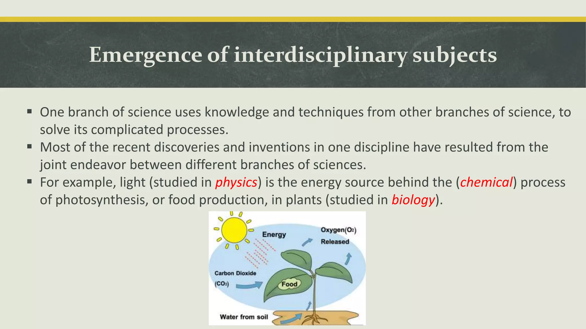 Branches of science | PPTX