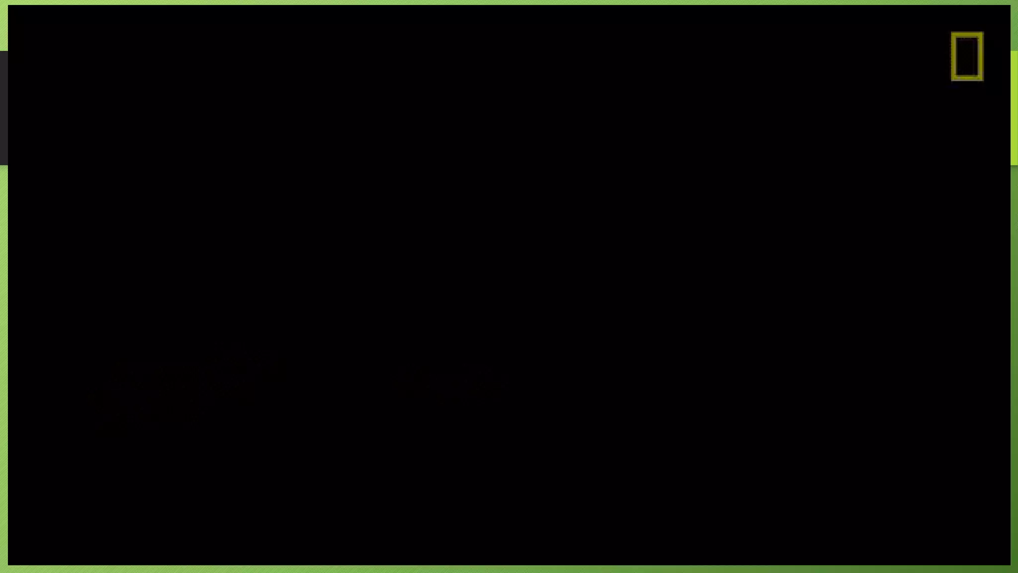 branches of science.pptx