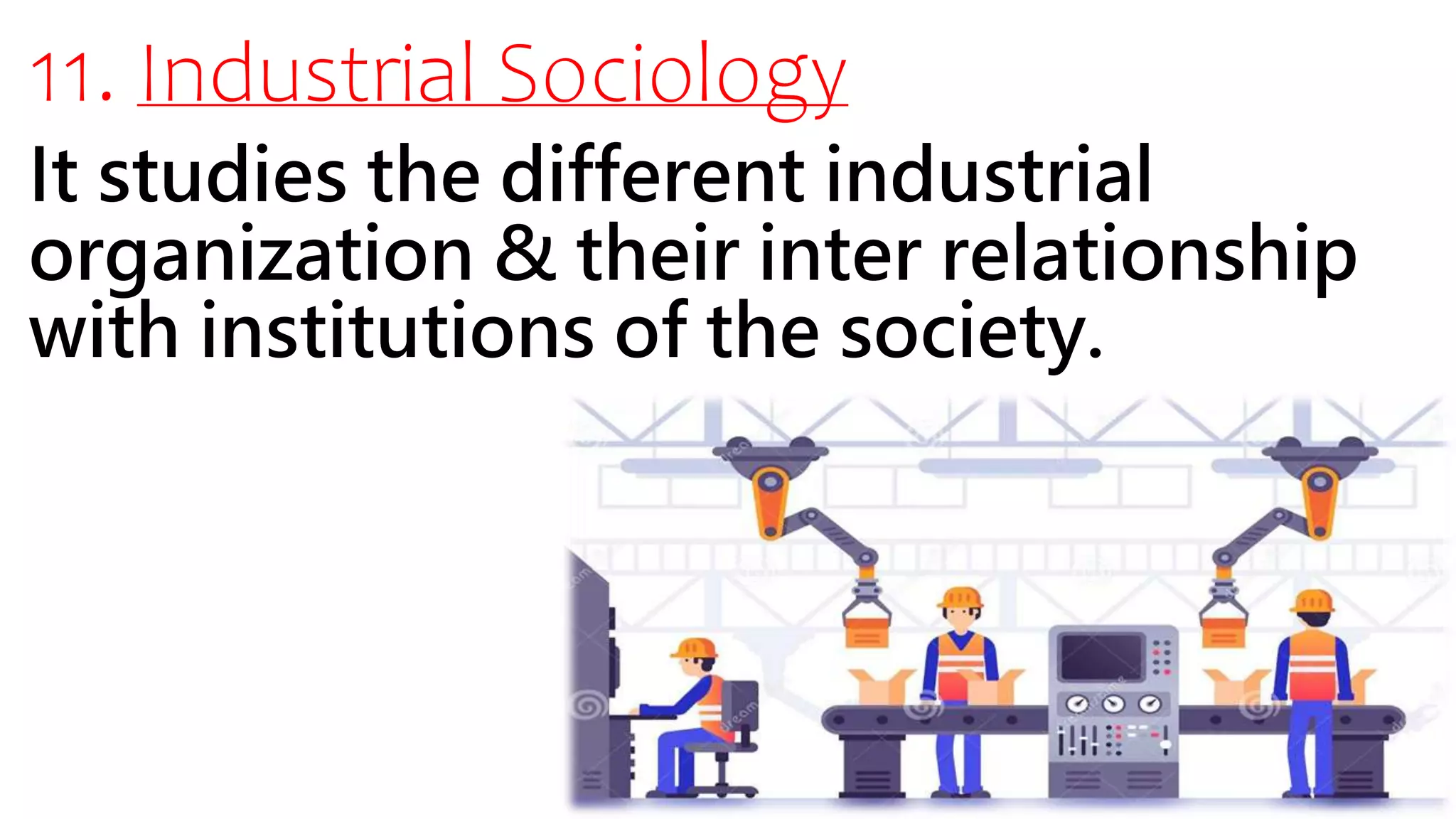 Branches of Sociology (1).pptx