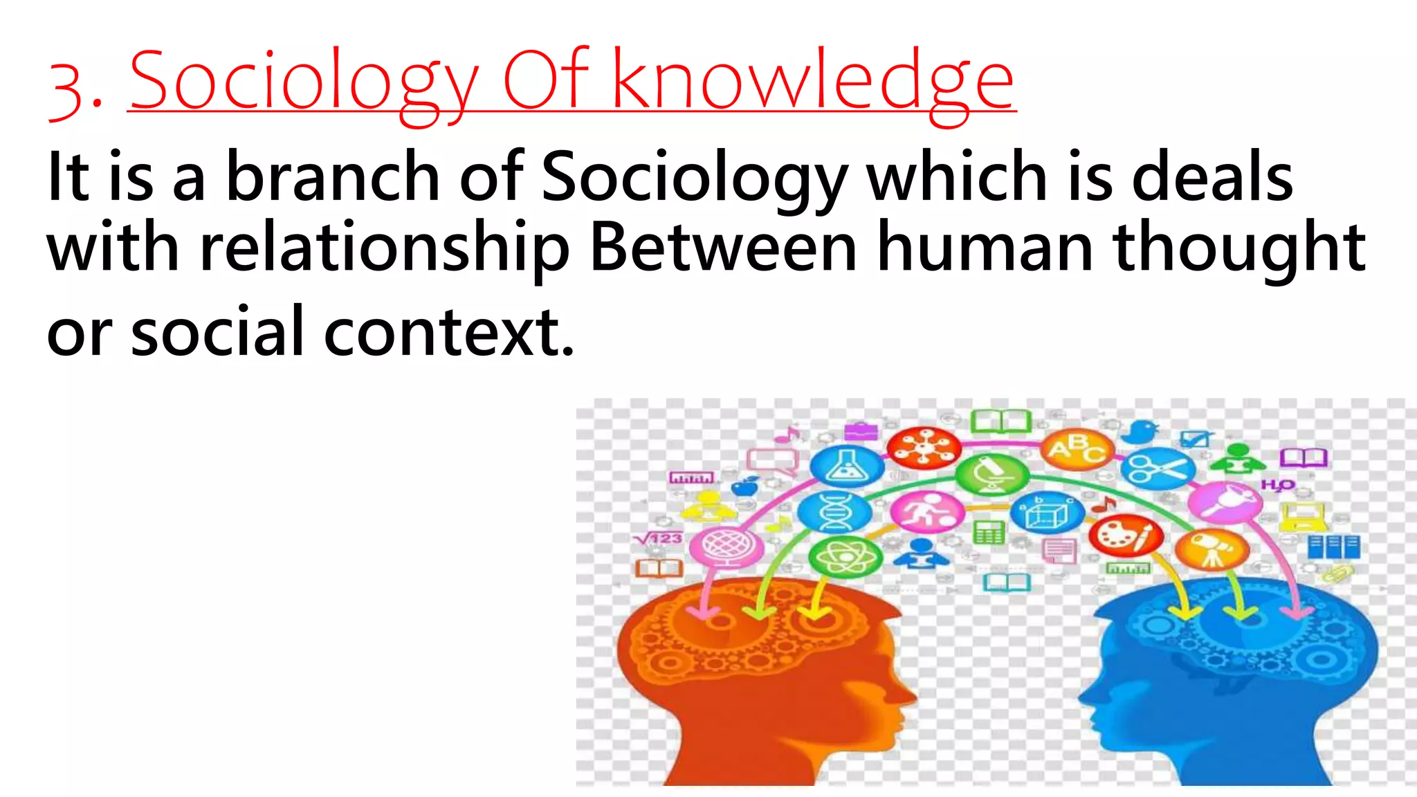 Branches of Sociology (1).pptx
