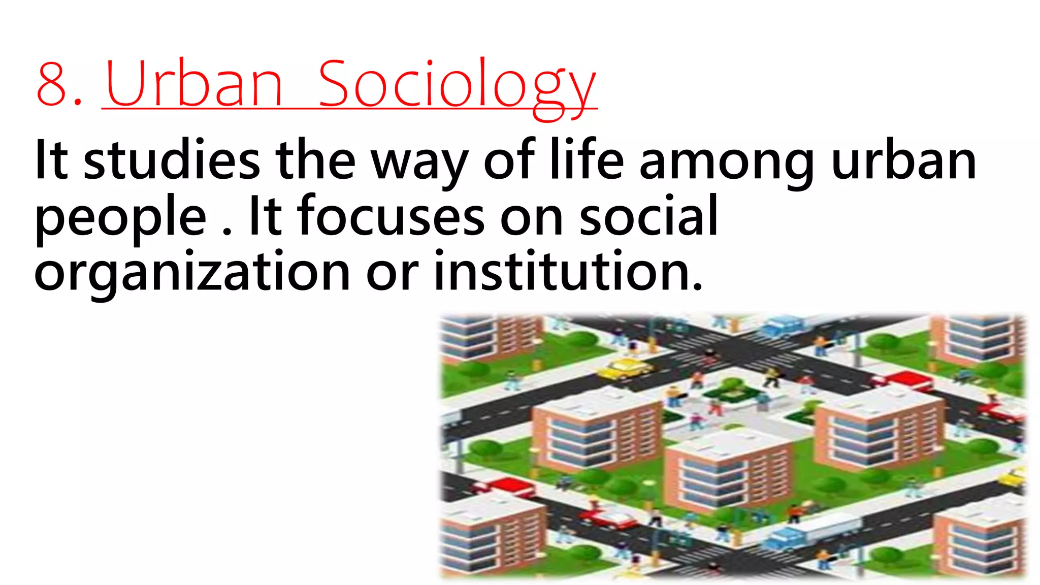 Branches of Sociology (1).pptx