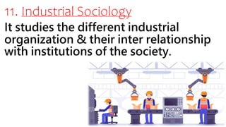 Branches of Sociology (1).pptx