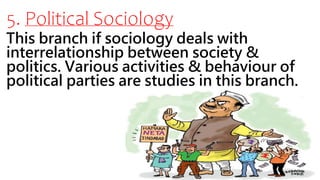 Branches of Sociology (1).pptx