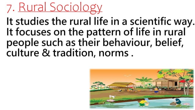 Branches of Sociology (1).pptx