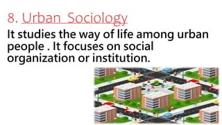 Branches of Sociology (1).pptx